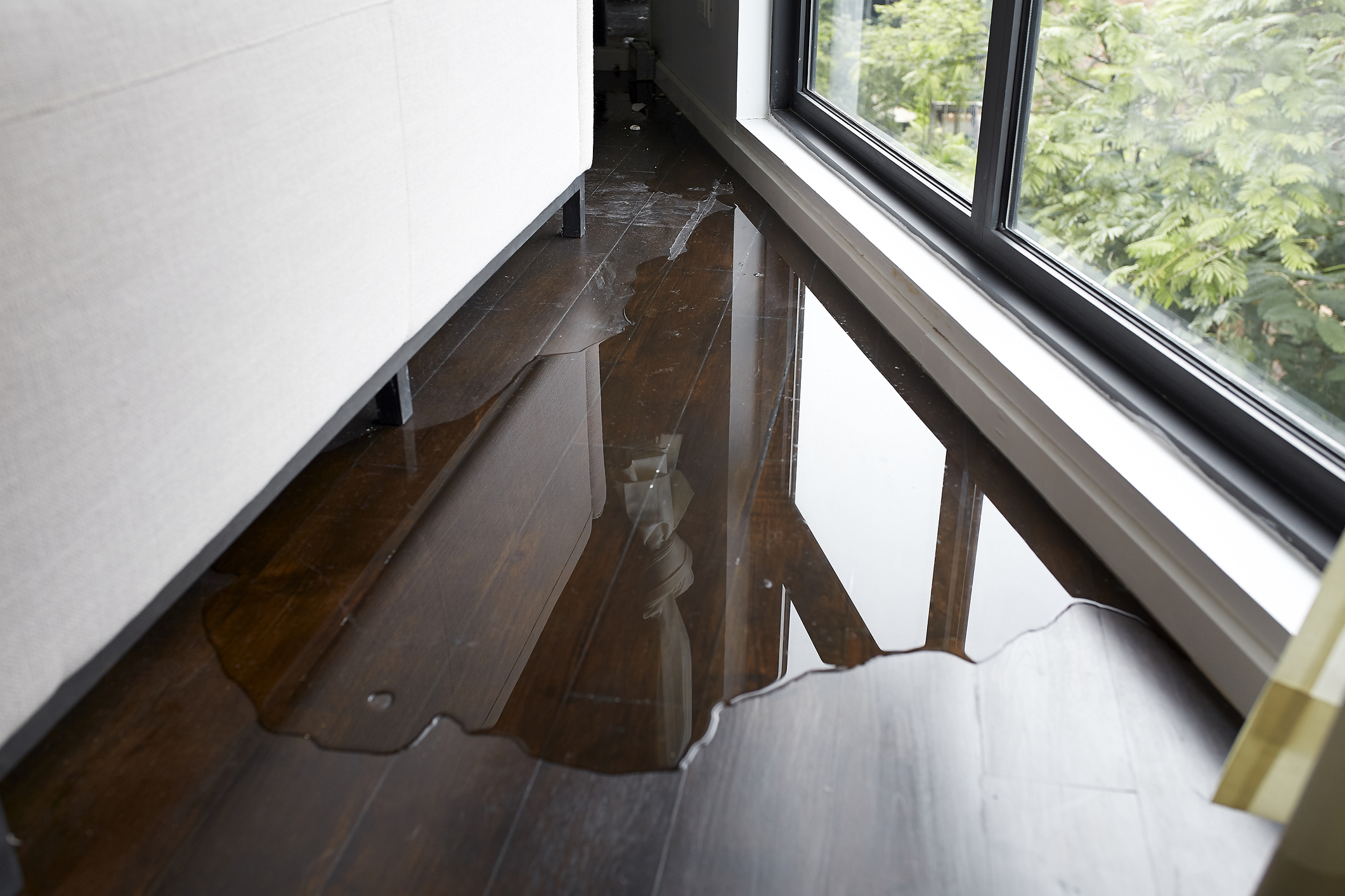 The Most Common Places In Your Home Where You May Find Water Damage ...